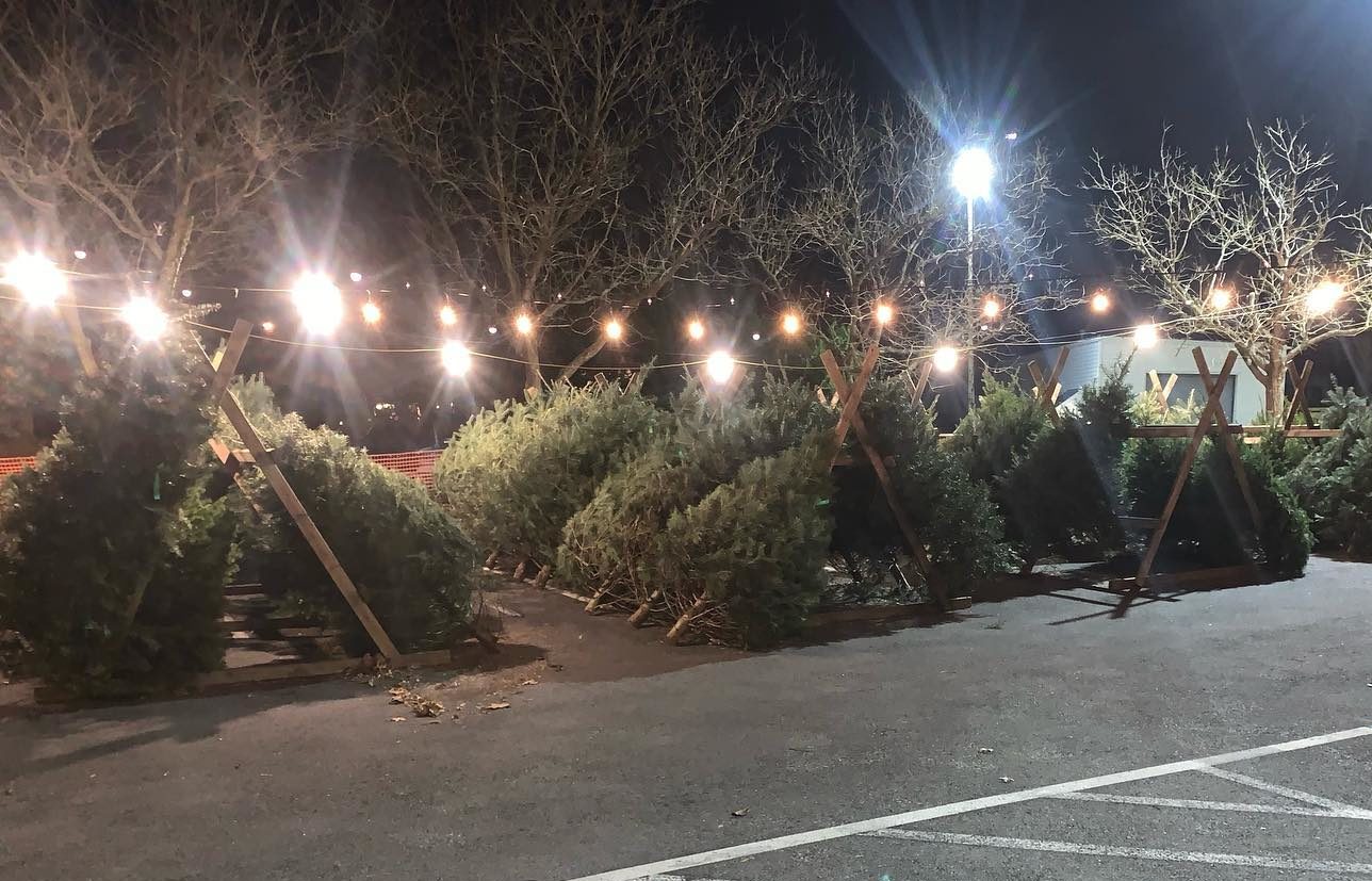 Christmas Tree Fundraiser Sale - Berwyn Heights Volunteer Fire ...